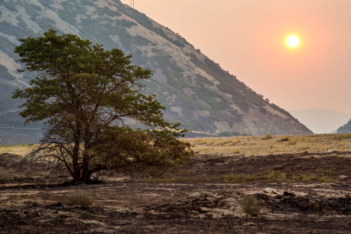 Uintah fire cause determined, Weber County says | News, Sports, Jobs ...